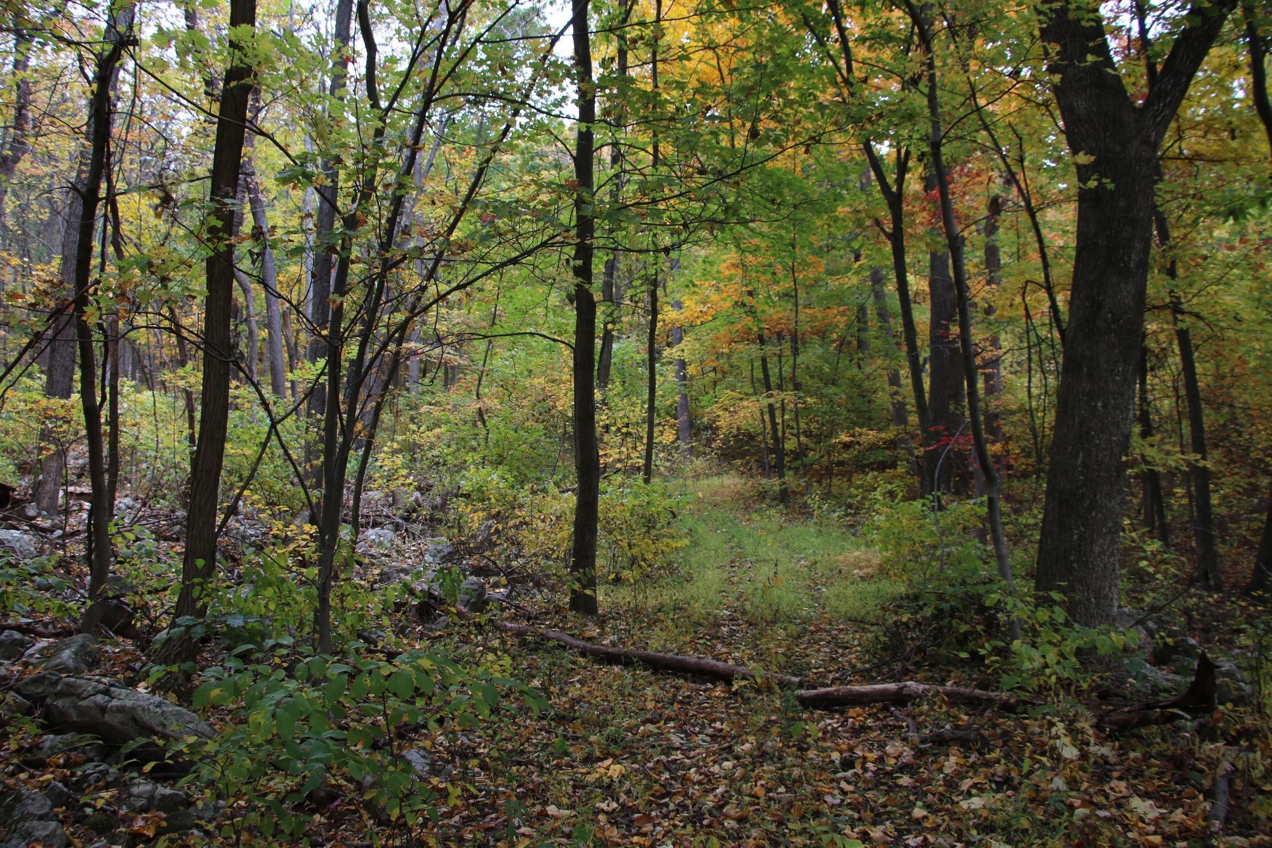Sundown Road, K4 Lot#Wp004, Gore, VA 22637 | LandWatch