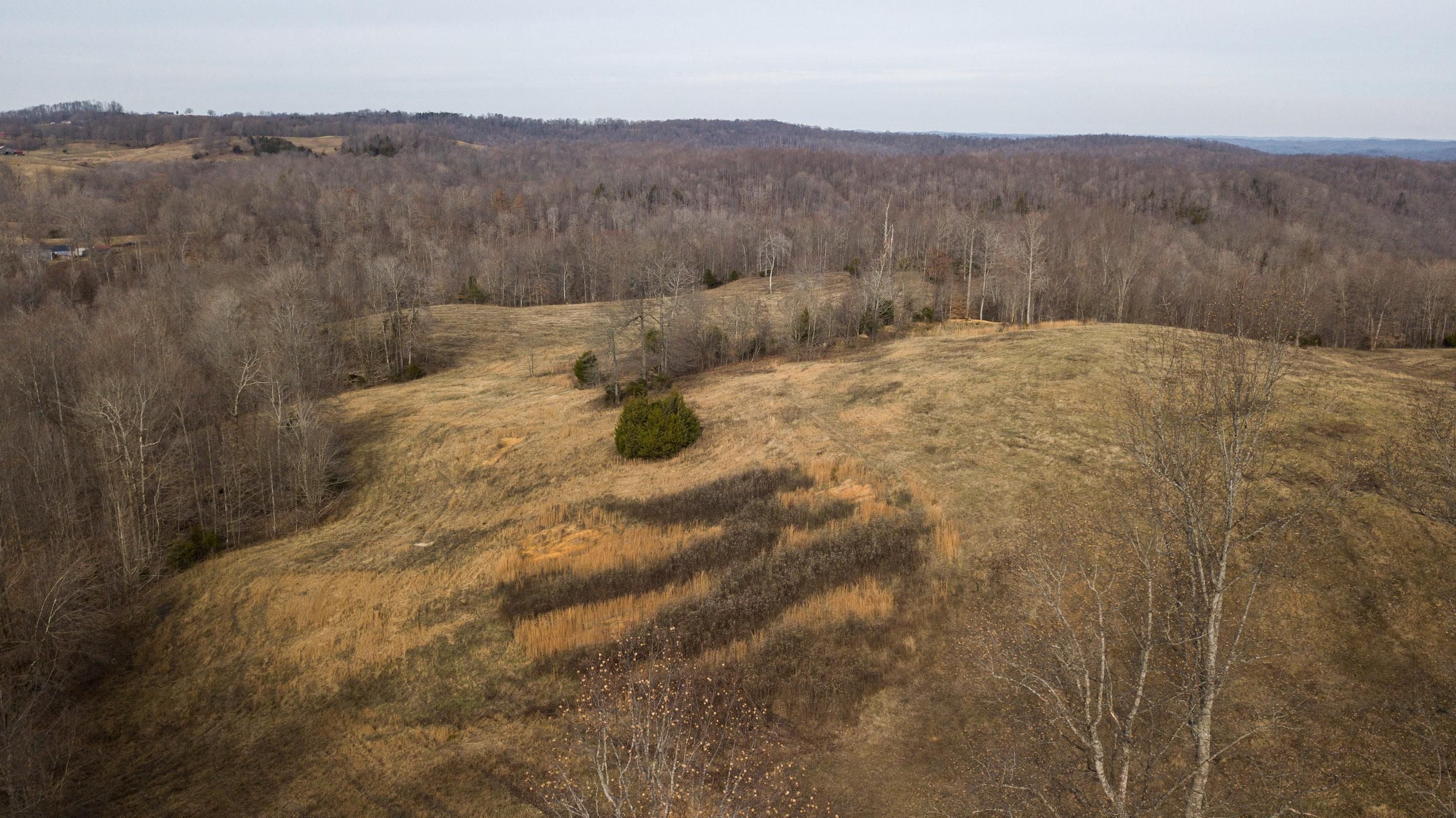 Vernon Road Lot#wp 001, Hestand, KY 42151 | LandWatch