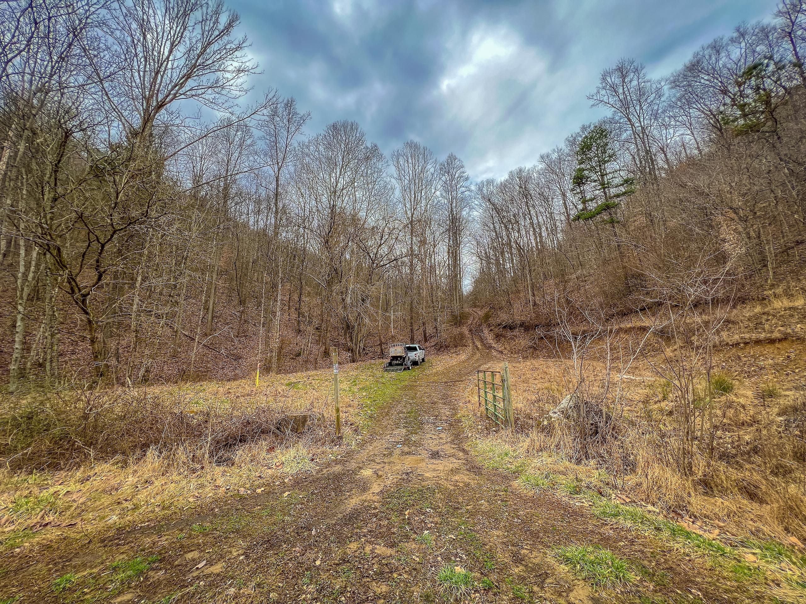 Ranger, Lincoln County, WV Recreational Property, Timberland Property ...
