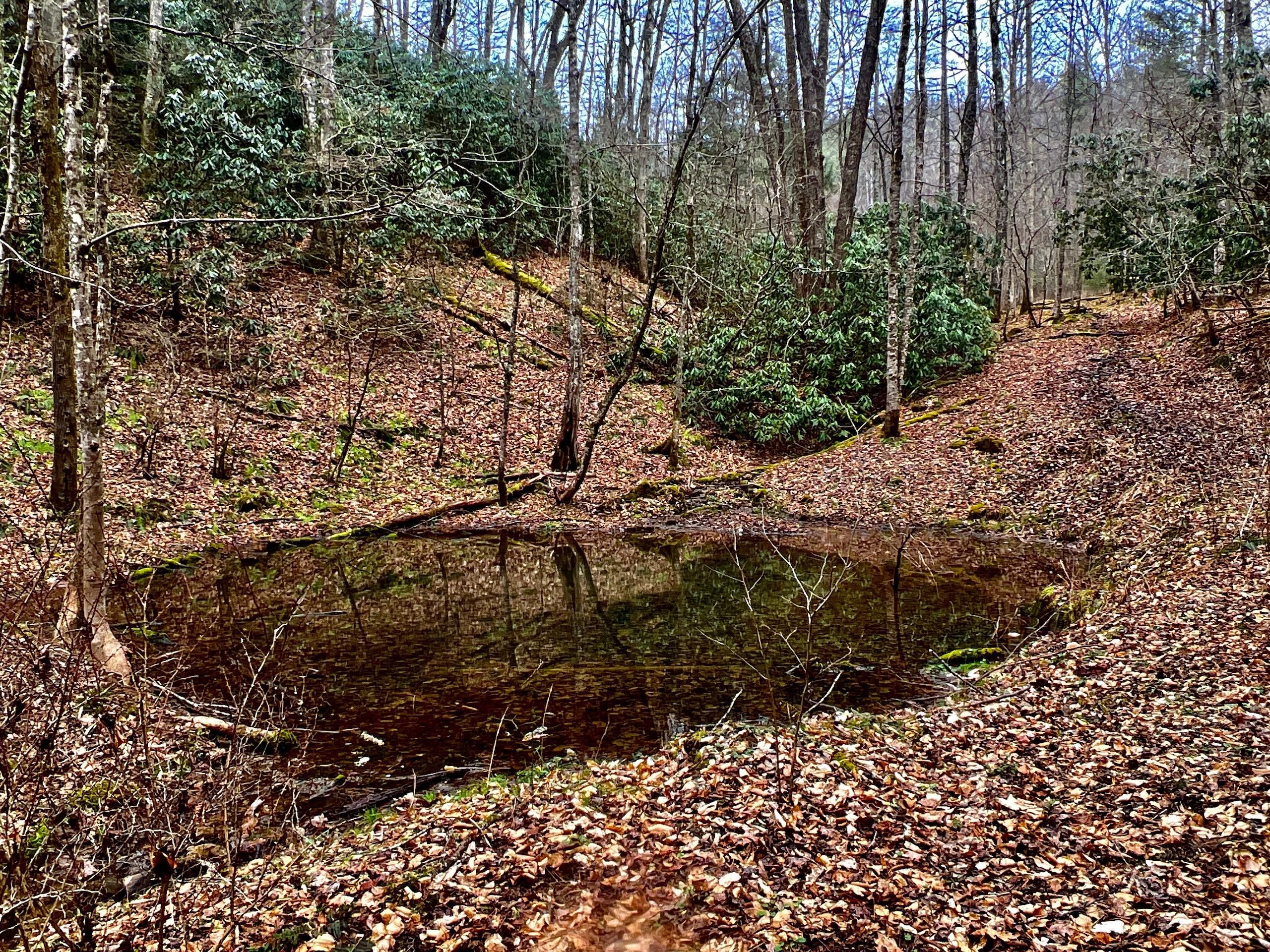 Mountain City, Johnson County, TN Recreational Property, Timberland ...