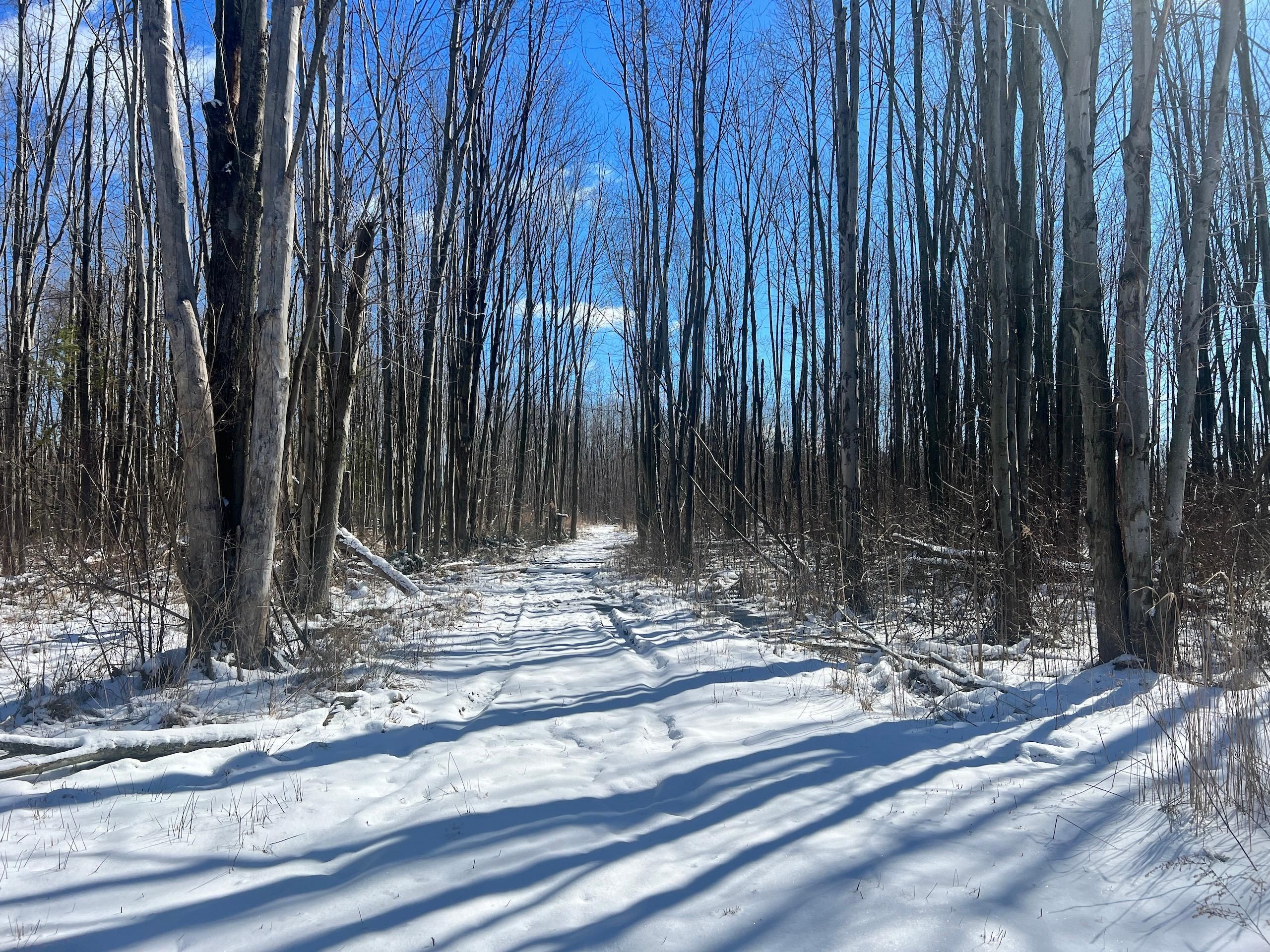 Burns Rd, Lot#WP001, Madison, OH 44057 | LandWatch