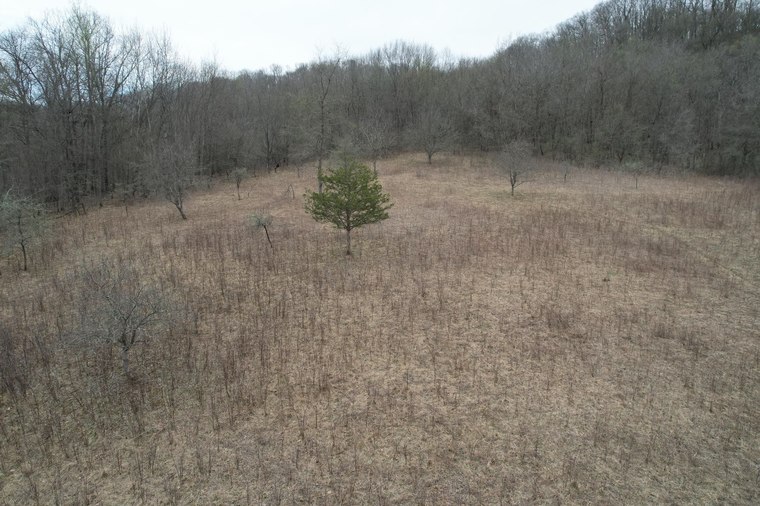 Fox Road, Fayette, IA 52142 | LandWatch