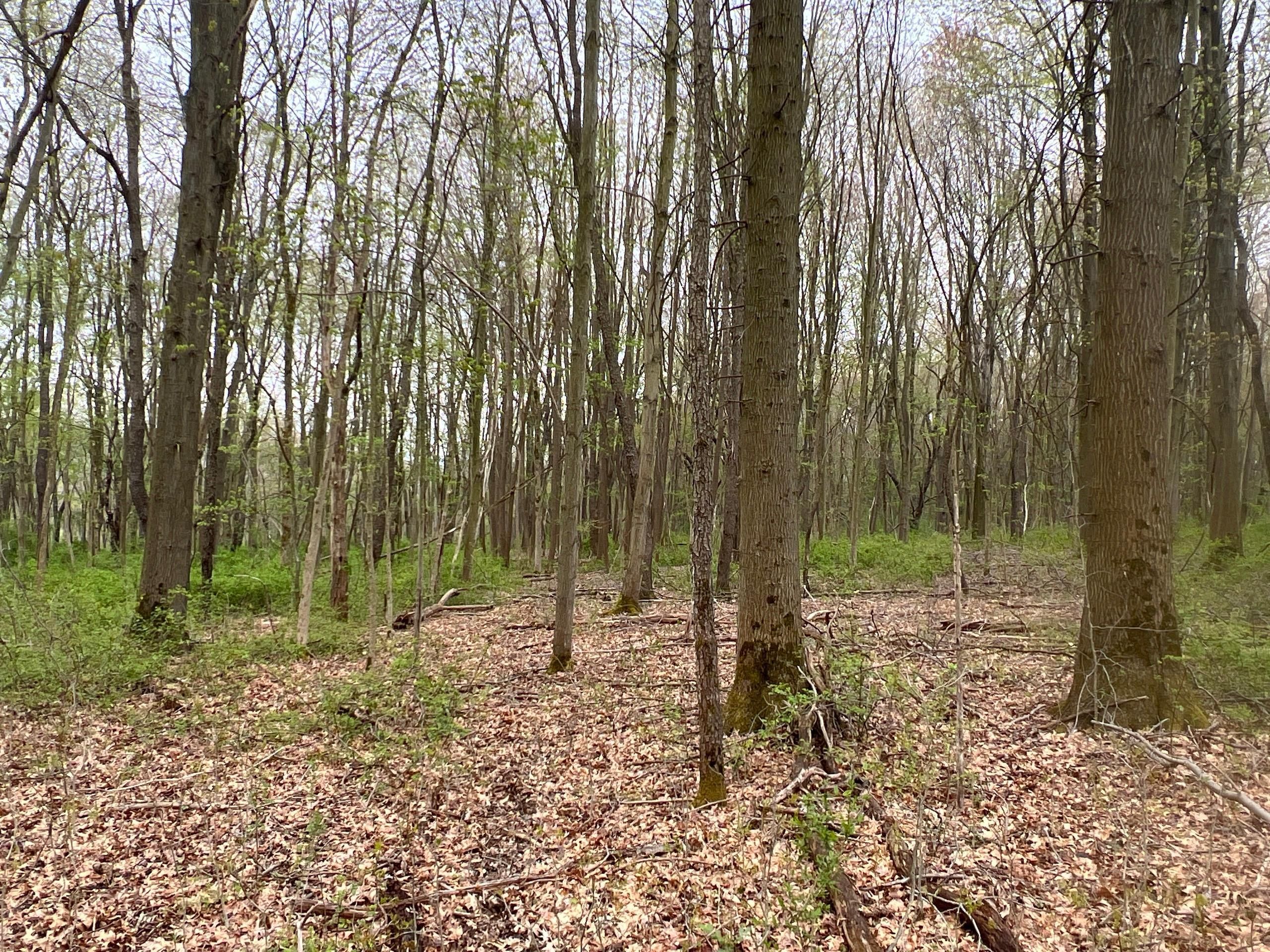 Addison Rd., Lot#WP001, Masury, OH 44403 | LandWatch