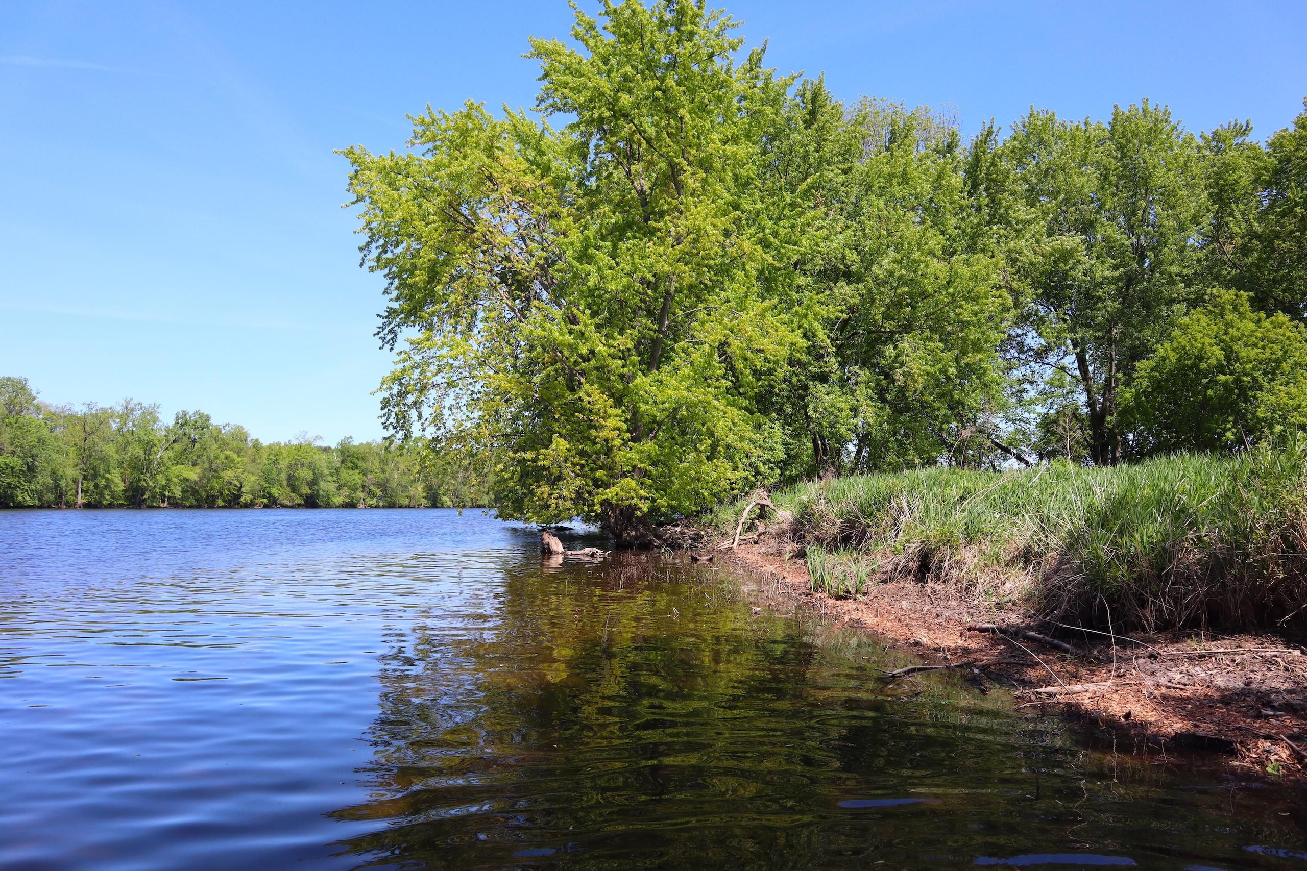 County Route 113, Lot#WP001, Greenwich, NY 12834 | LandWatch