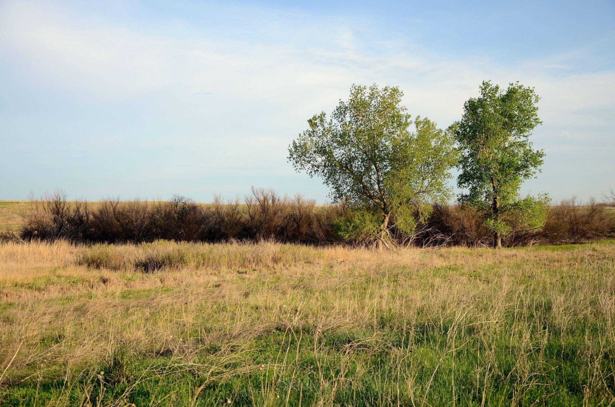 1292 Avenue O, Coldwater, KS 67029 | LandWatch