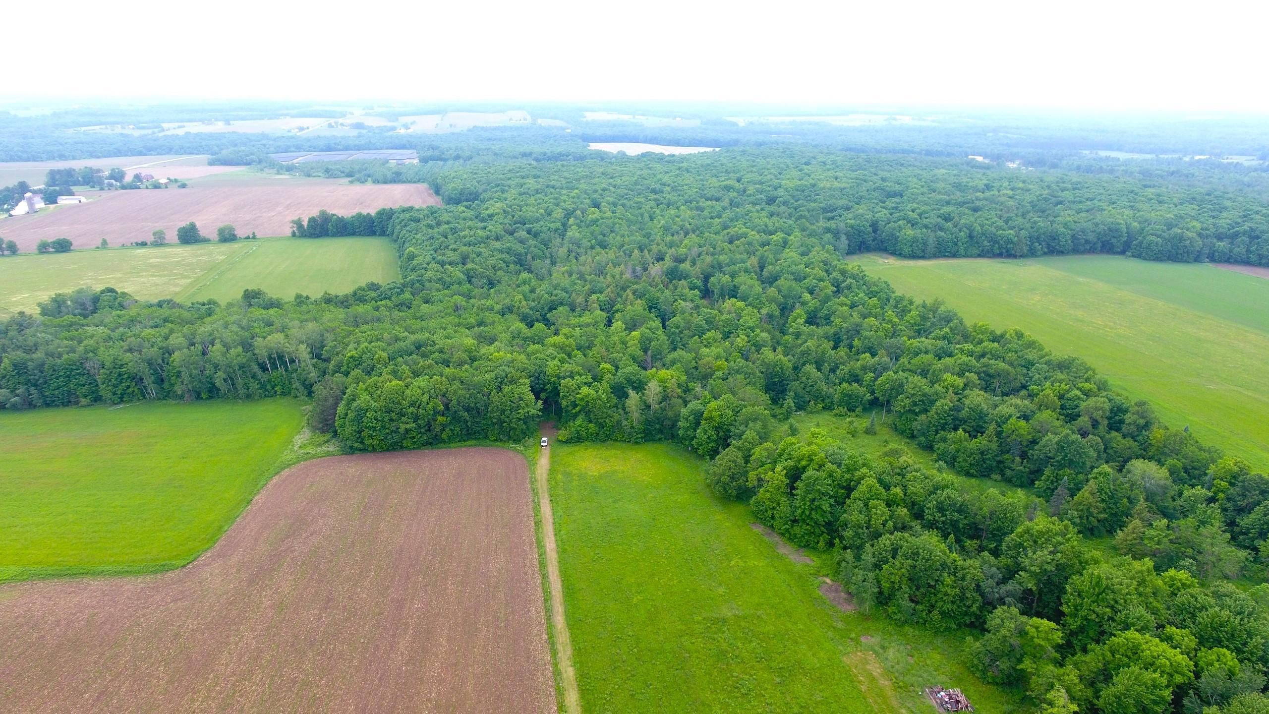 off Grass Creek Lane, Athens, WI 54411 | LandWatch