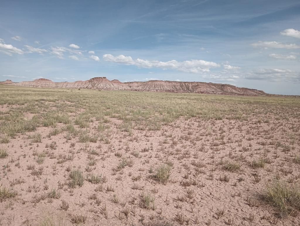 Puerco Loop, Chambers, AZ 86502 | LandWatch