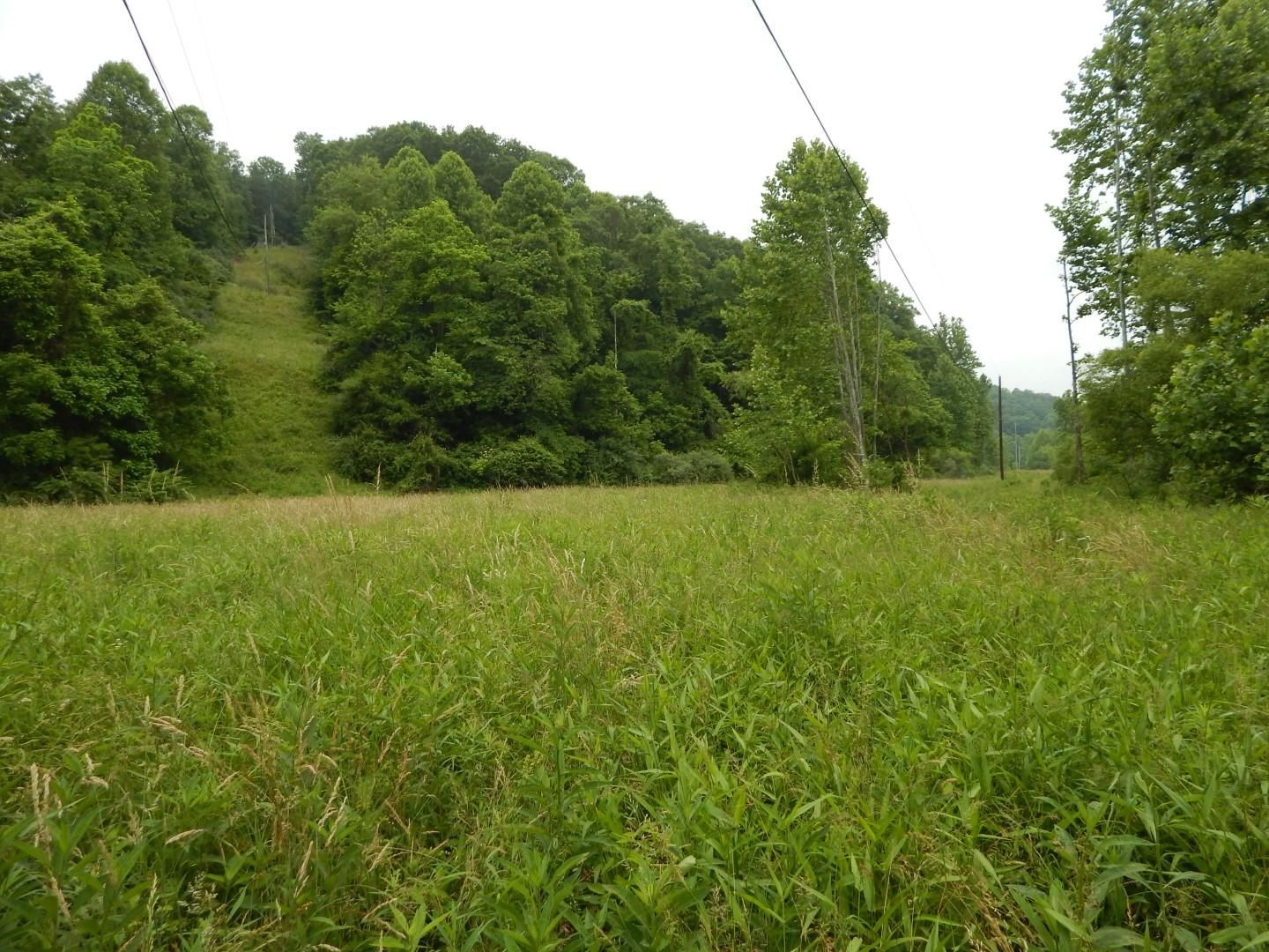 Cantwell Ridge Road, Walker, WV 26180 | MLS: 11184895 | LandWatch