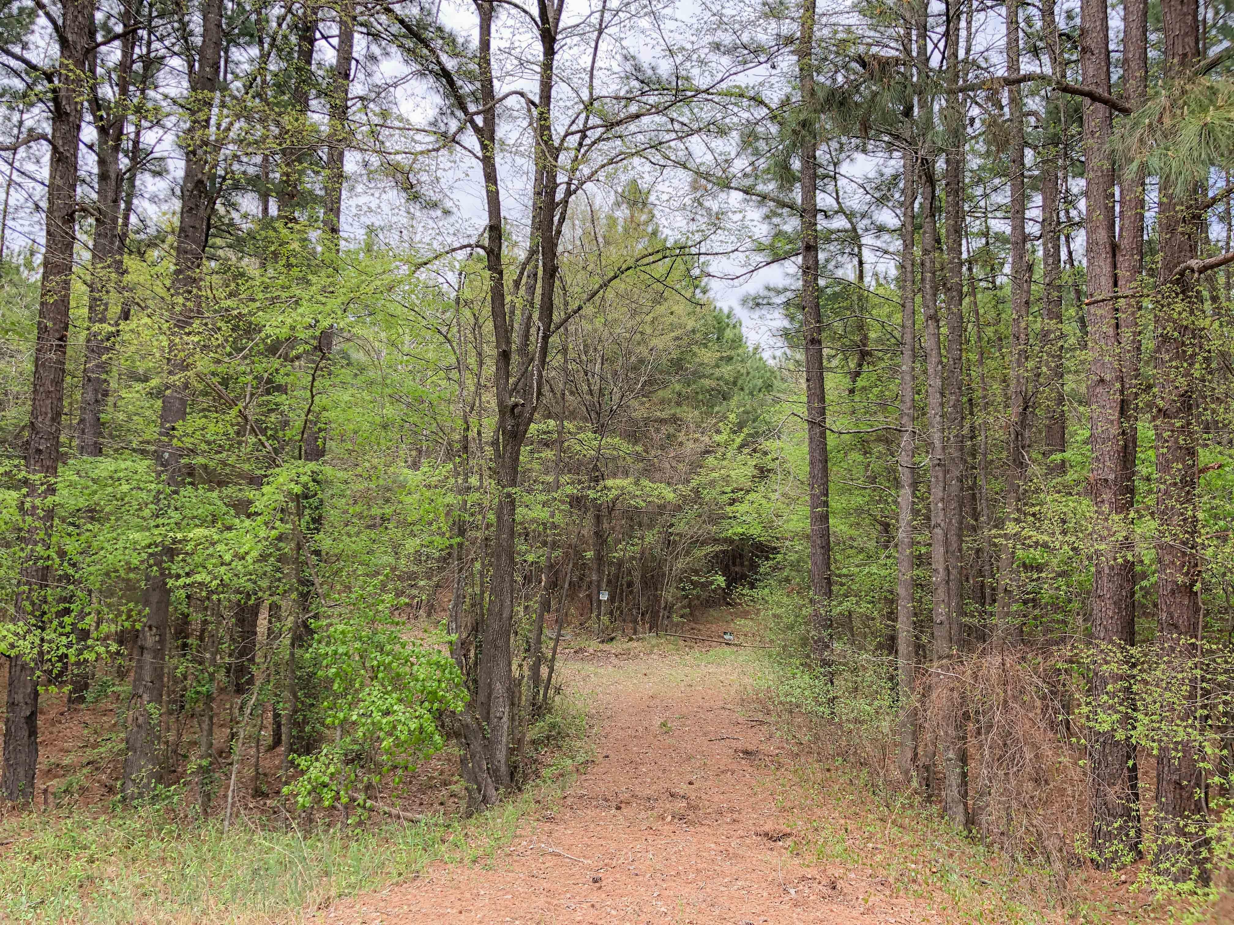 U.S. 67, Redwater, TX 75567 | LandWatch