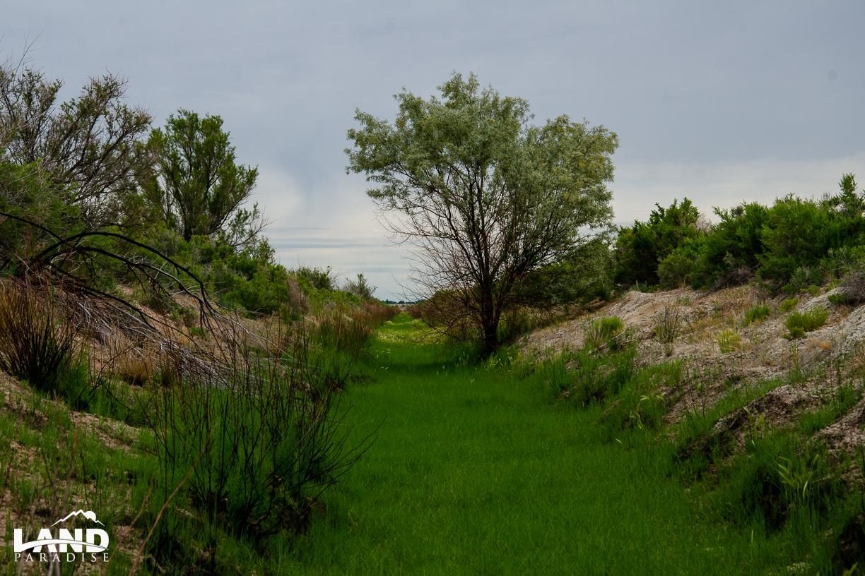 5.08 acres in Abraham, UT, 84635 | LandWatch