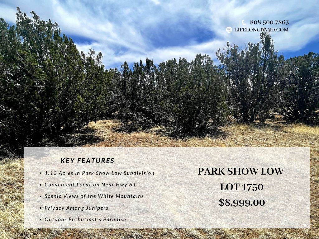 Concho, Apache County, AZ Recreational Property, Undeveloped Land ...