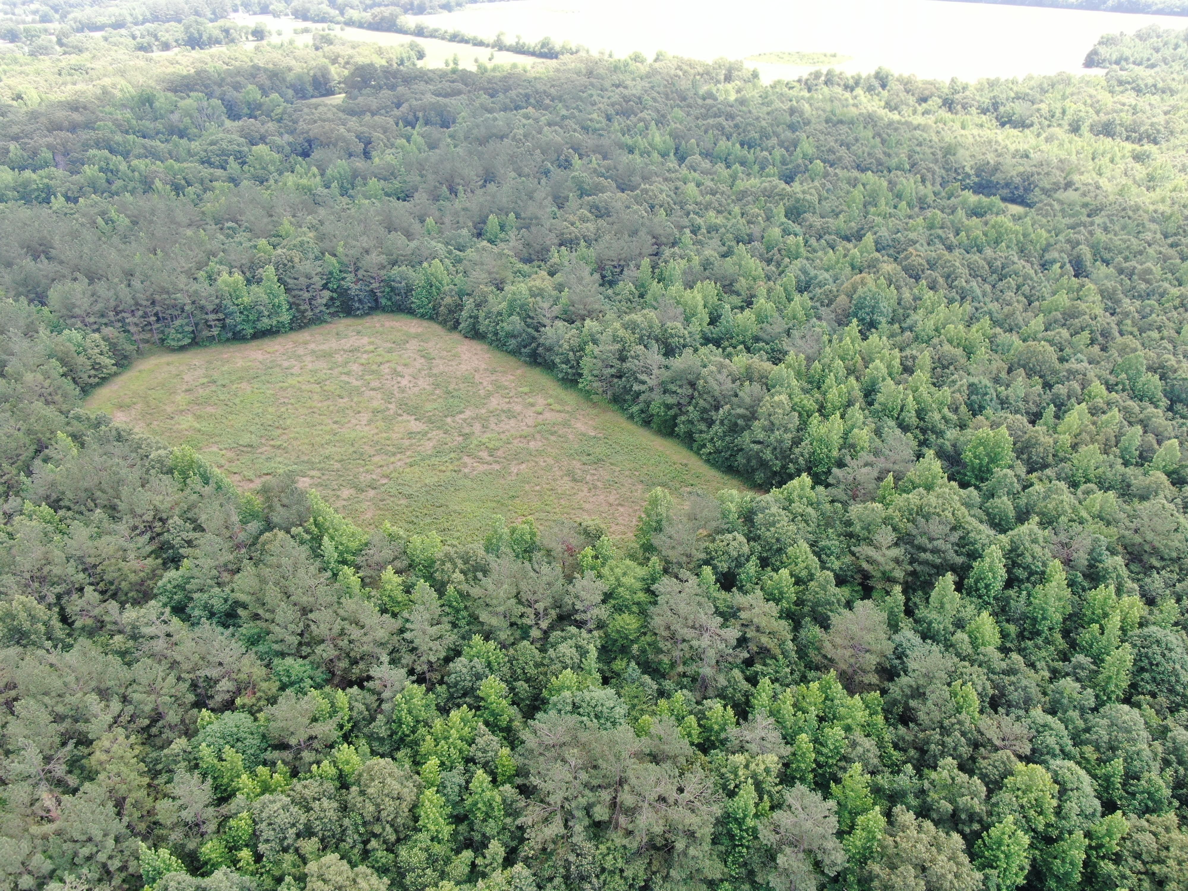 Michigan City, Benton County, MS Recreational Property, Hunting ...
