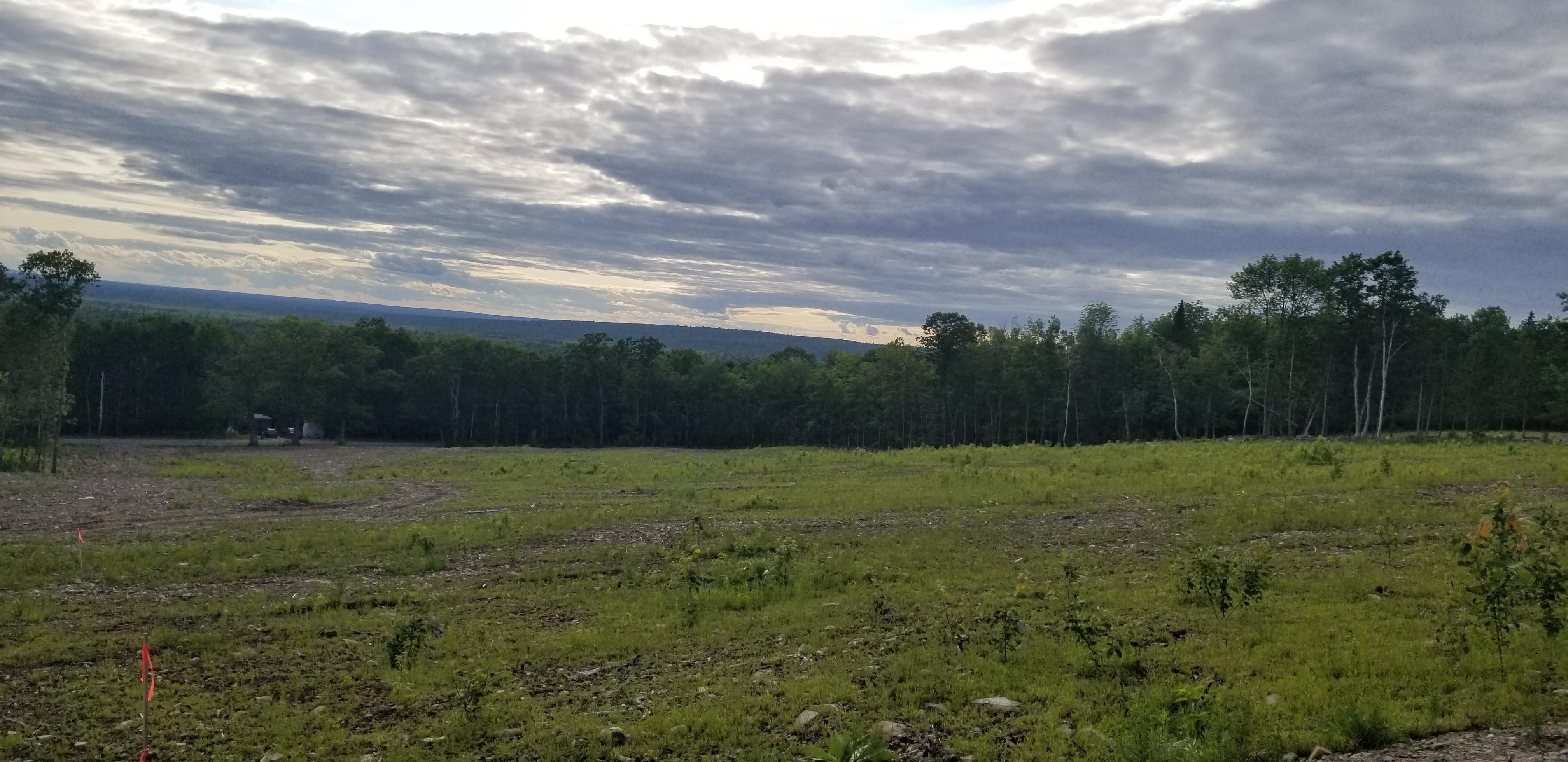 Back Road, Burlington, ME 04417 | LandWatch