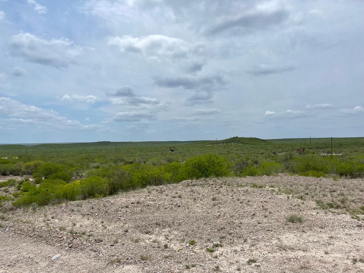 14.69 acres in Freer, TX, 78341 | LandWatch