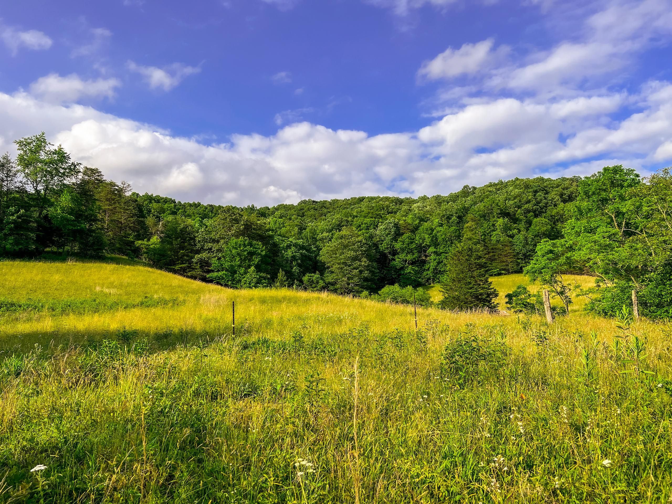 445 Pleasant Ridge Rd, Brohard, WV 26138 | LandWatch