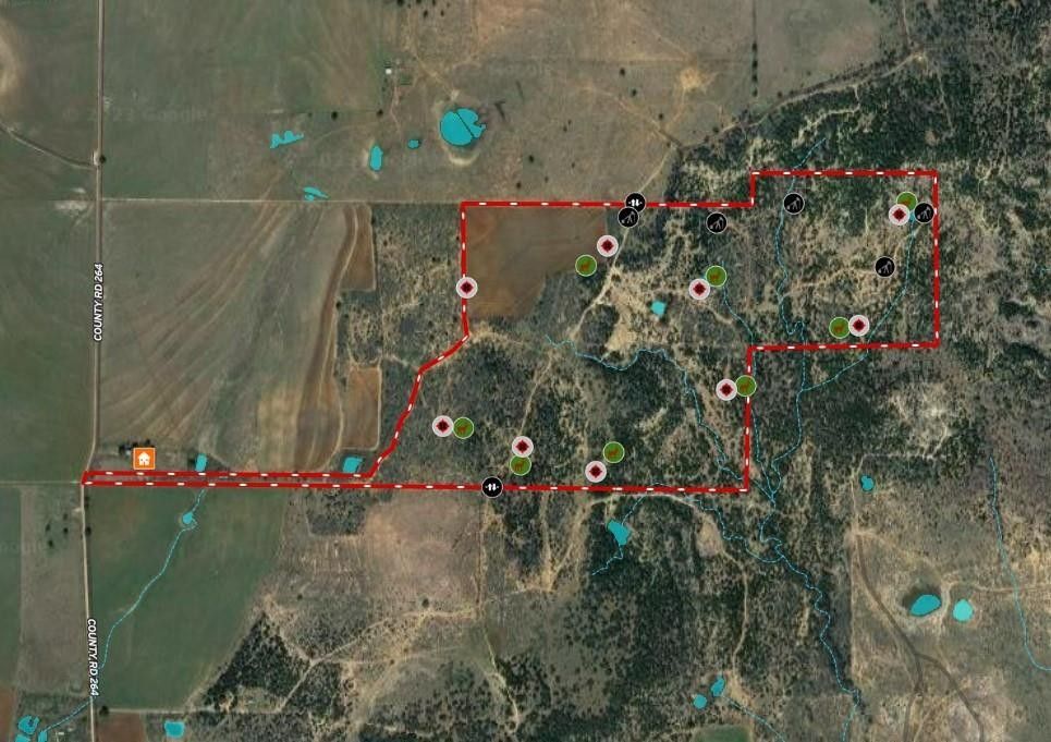 Tbd CR 264, Santa Anna, TX 76878 | MLS: 20304502 | LandWatch