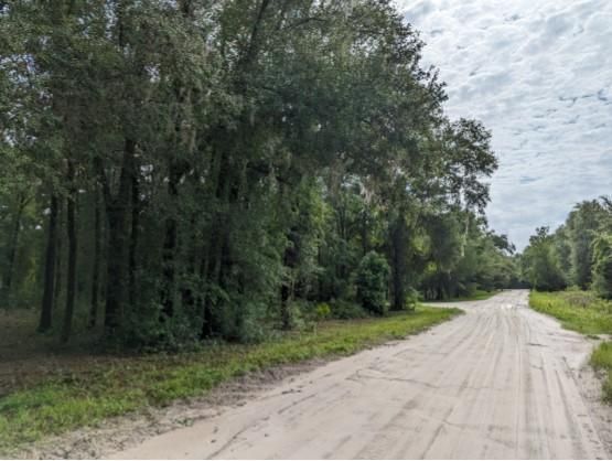 Fort White, Columbia County, FL Recreational Property, Undeveloped Land ...