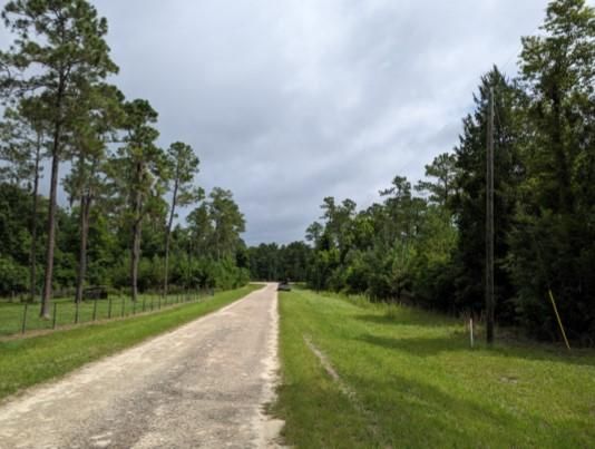Fort White, Columbia County, FL Recreational Property, Undeveloped Land ...