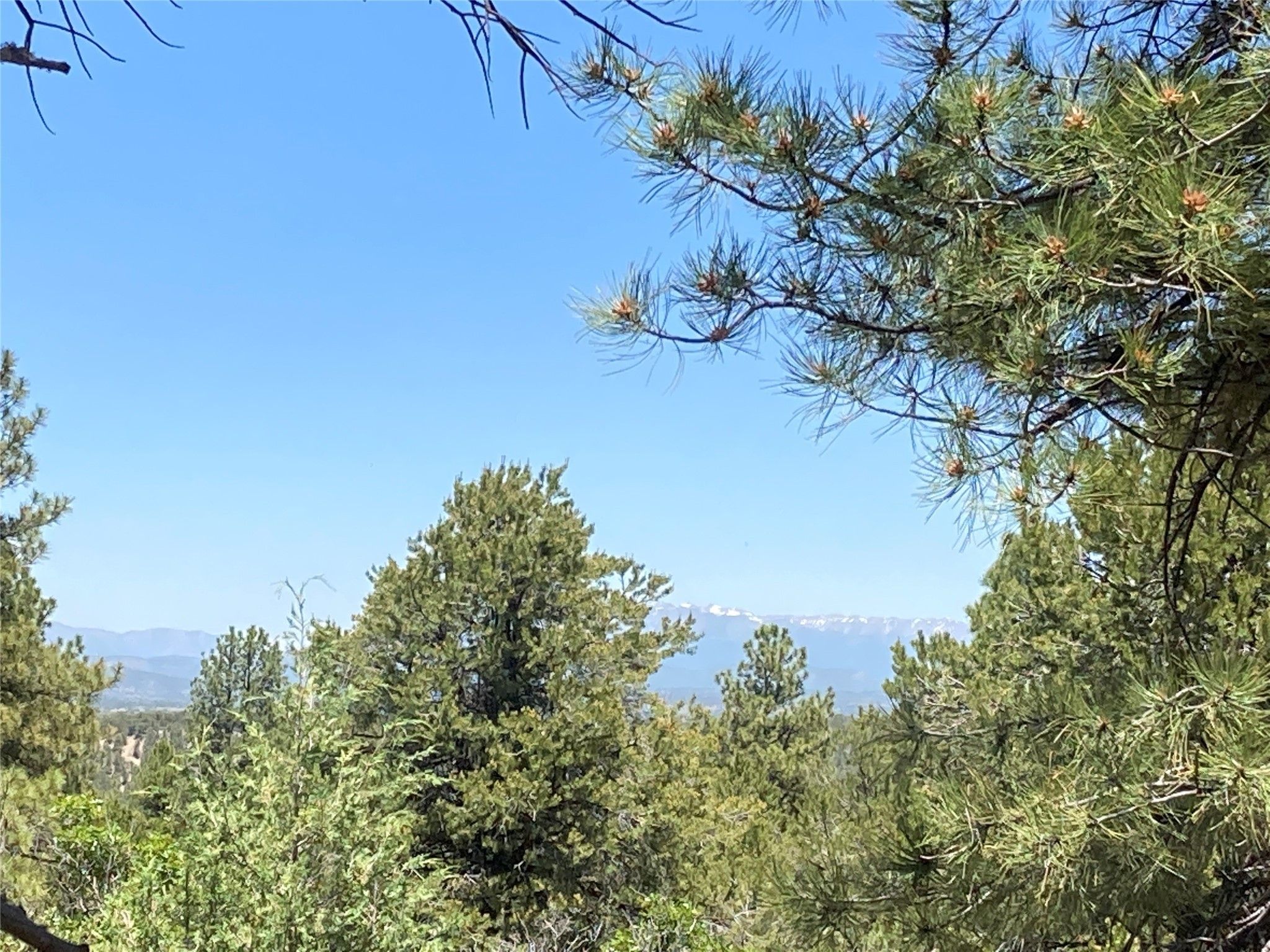 Tierra Amarilla, Rio Arriba County, NM Undeveloped Land for sale ...