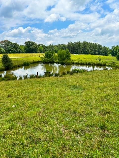 Palmersville, Weakley County, TN Farms and Ranches for sale Property ID ...