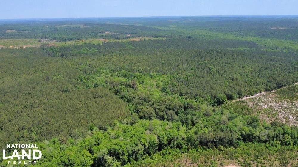 70 acres in Sprott, AL, 36756 | LandWatch