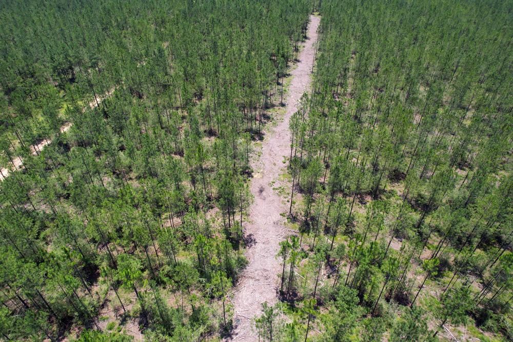 Wilmer, Mobile County, AL Recreational Property, Timberland Property ...