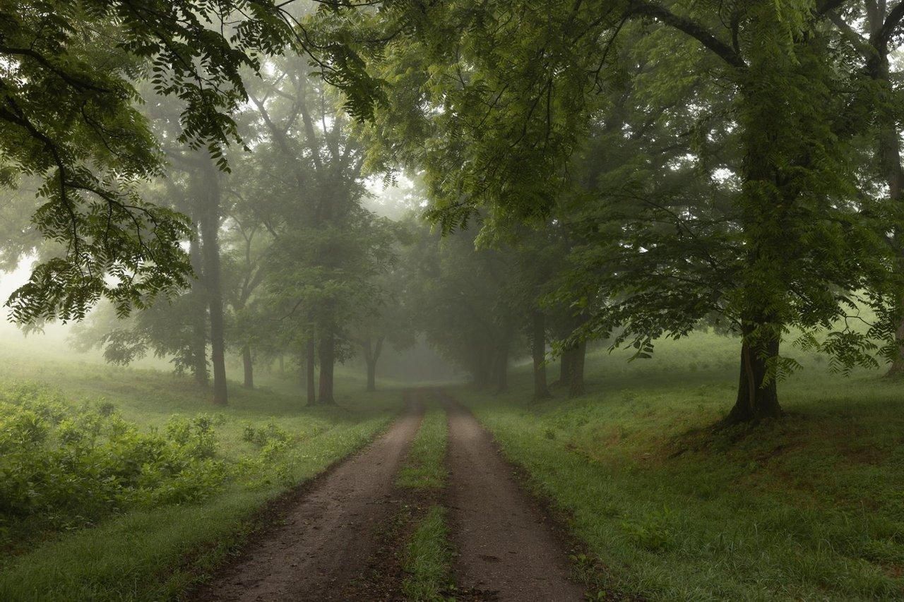 Pulaski, Giles County, TN Farms and Ranches, Recreational Property ...