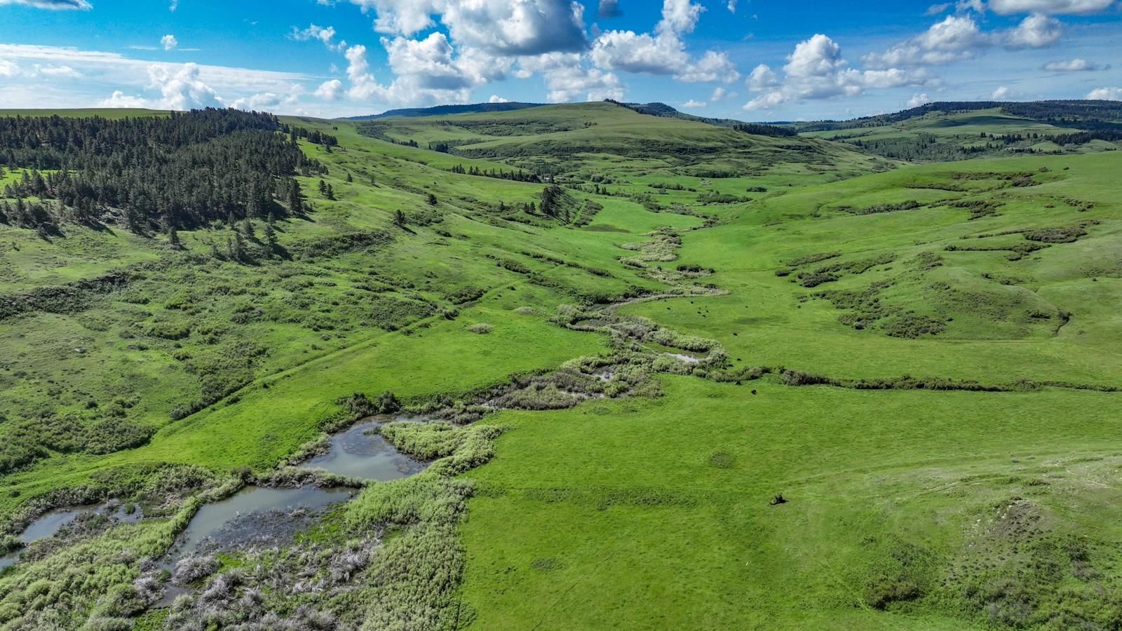 4228 Fairview Rd, Forest Grove, MT 59441 | MLS: Bear Creek Ranch ...