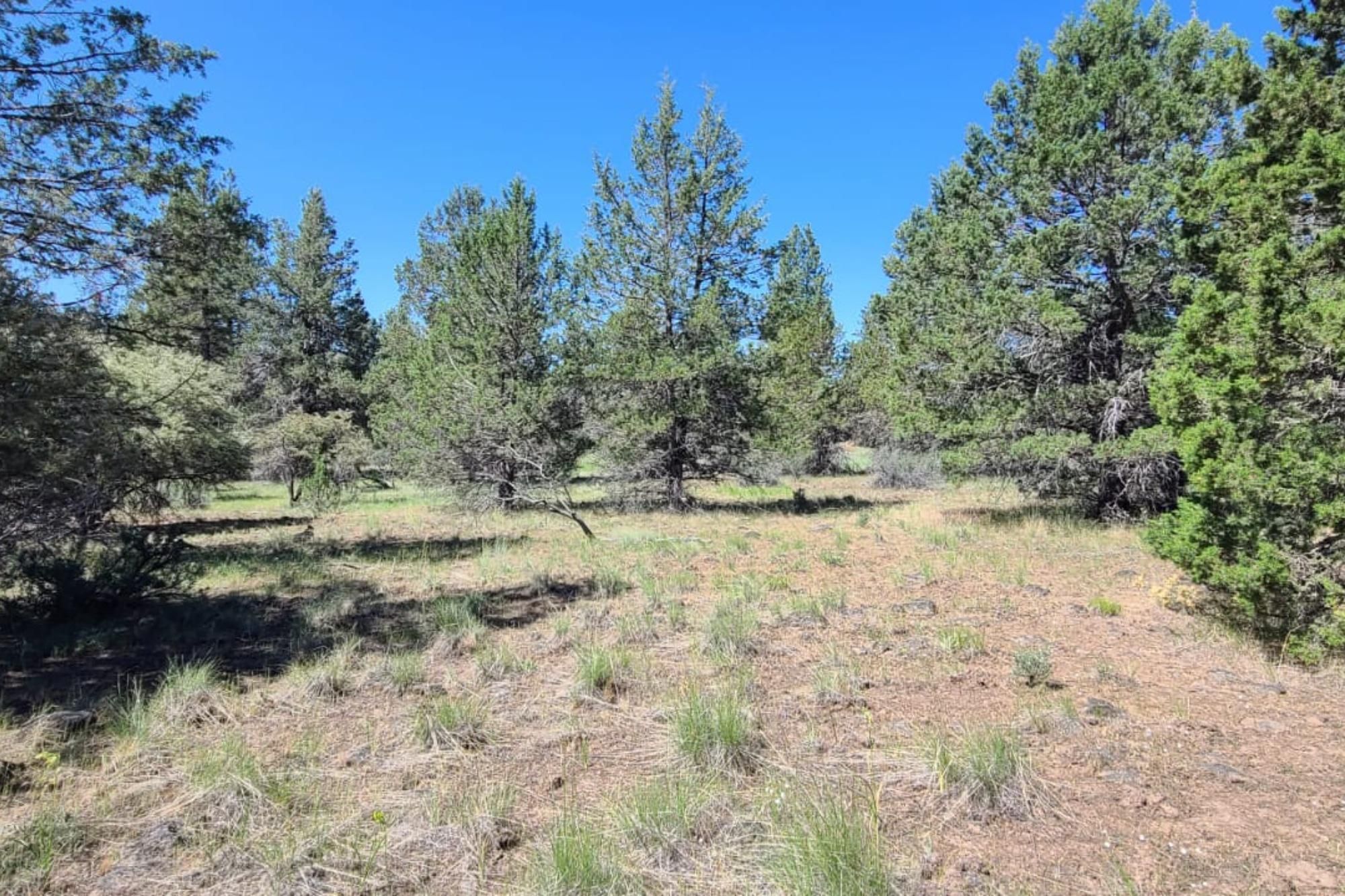 Bonanza, Klamath County, OR Recreational Property, Undeveloped Land ...