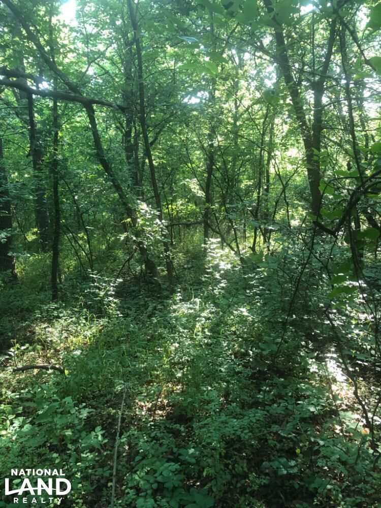 Wellston, Lincoln County, OK Recreational Property, Homesites for sale ...