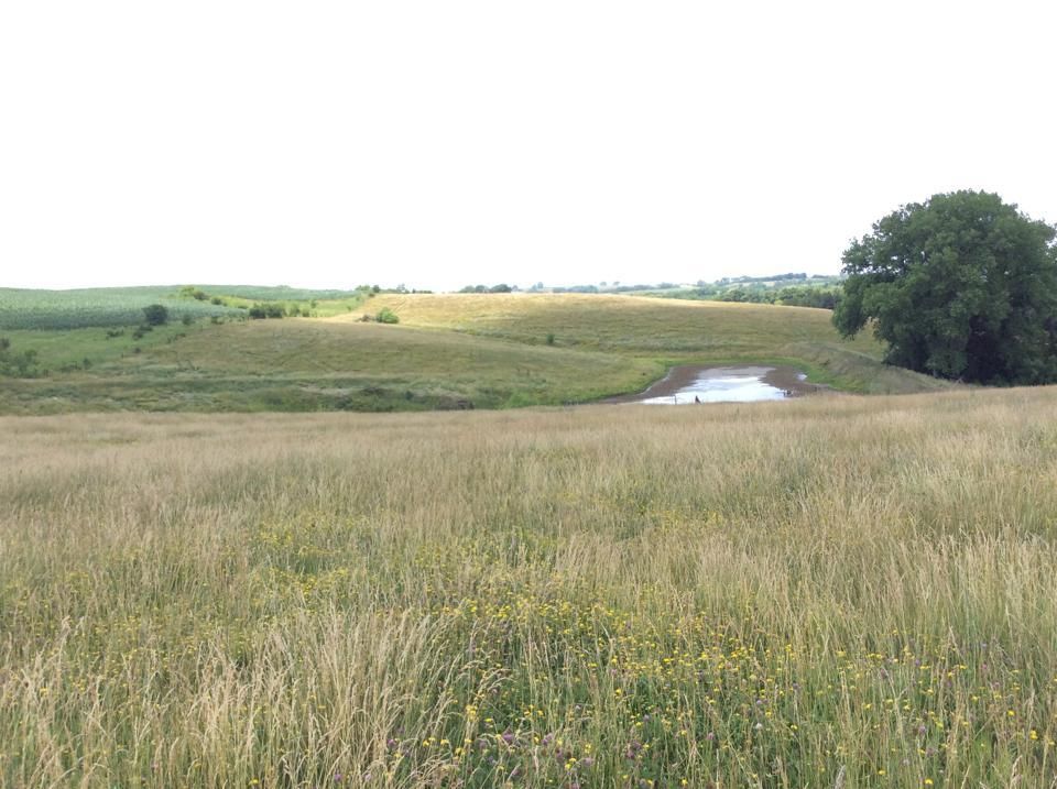 80 acres in Brooks, IA, 50841 | LandWatch