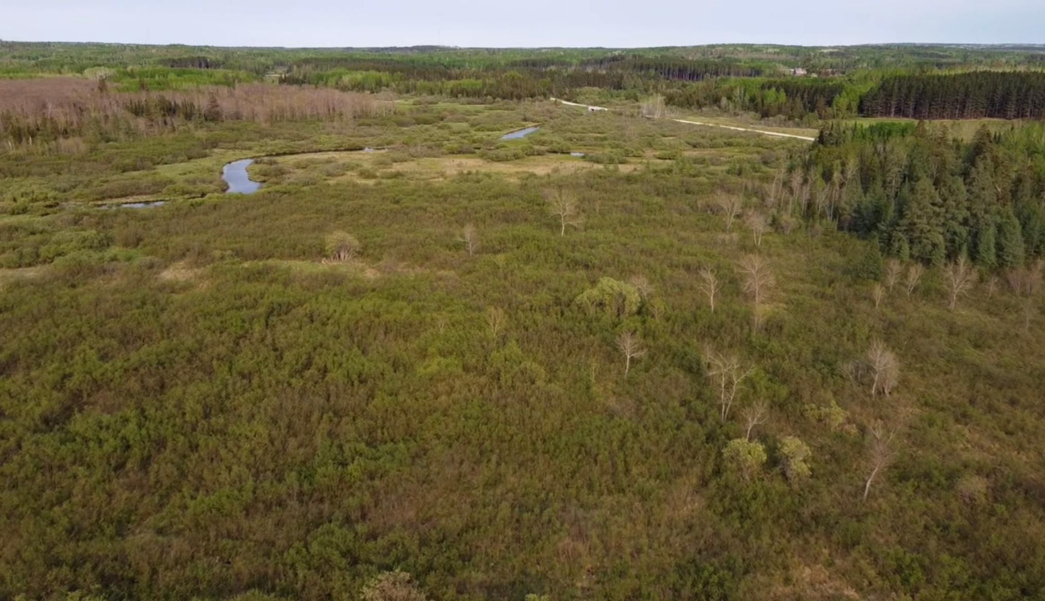 9227 Hannula Rd, Angora, MN 55703 | LandWatch