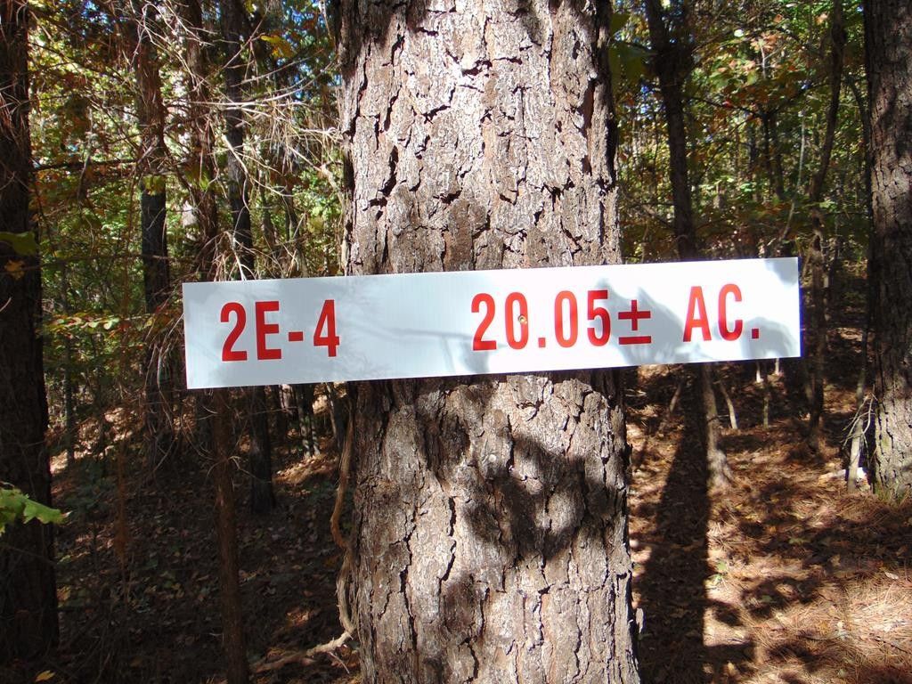 Decatur, Meigs County, TN Undeveloped Land for sale Property ID ...