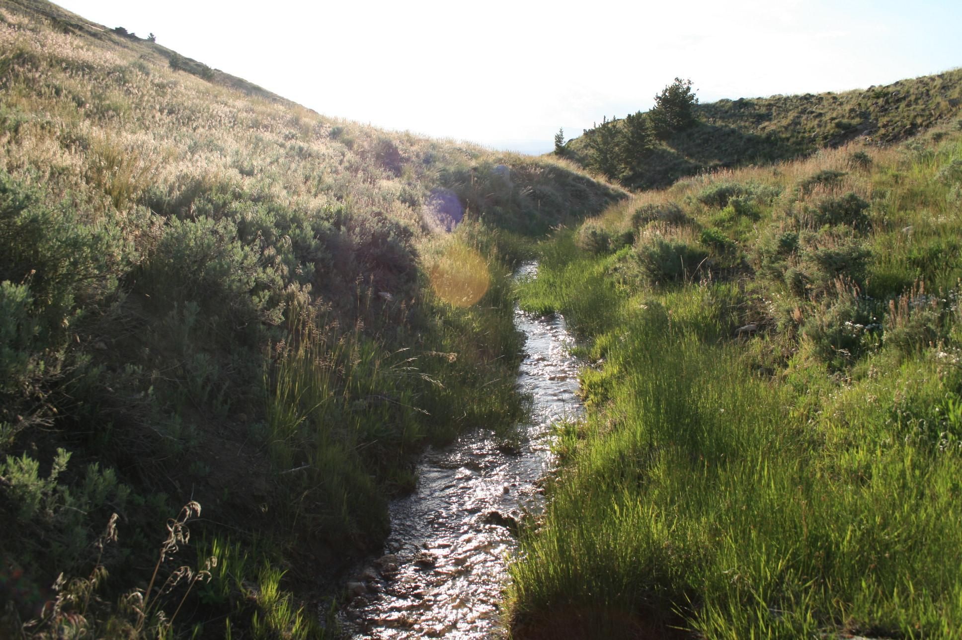 Freedom Trail, Belfry, MT 59068 | LandWatch