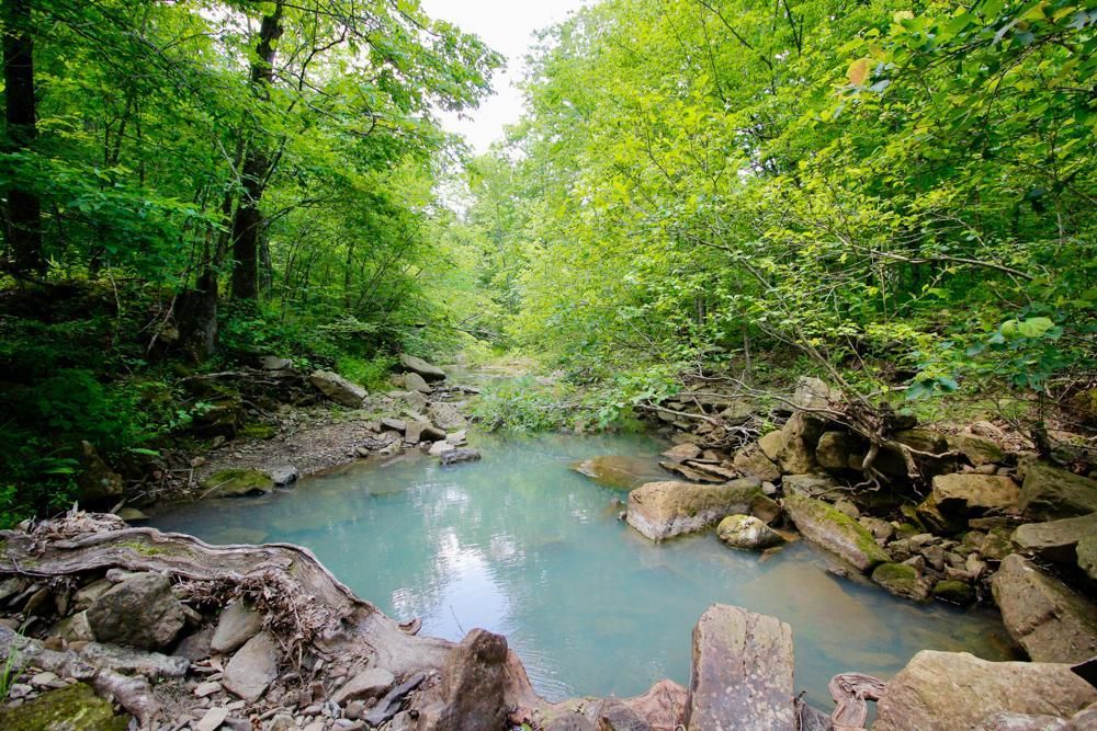 Pettigrew, Madison County, AR Recreational Property, Timberland ...