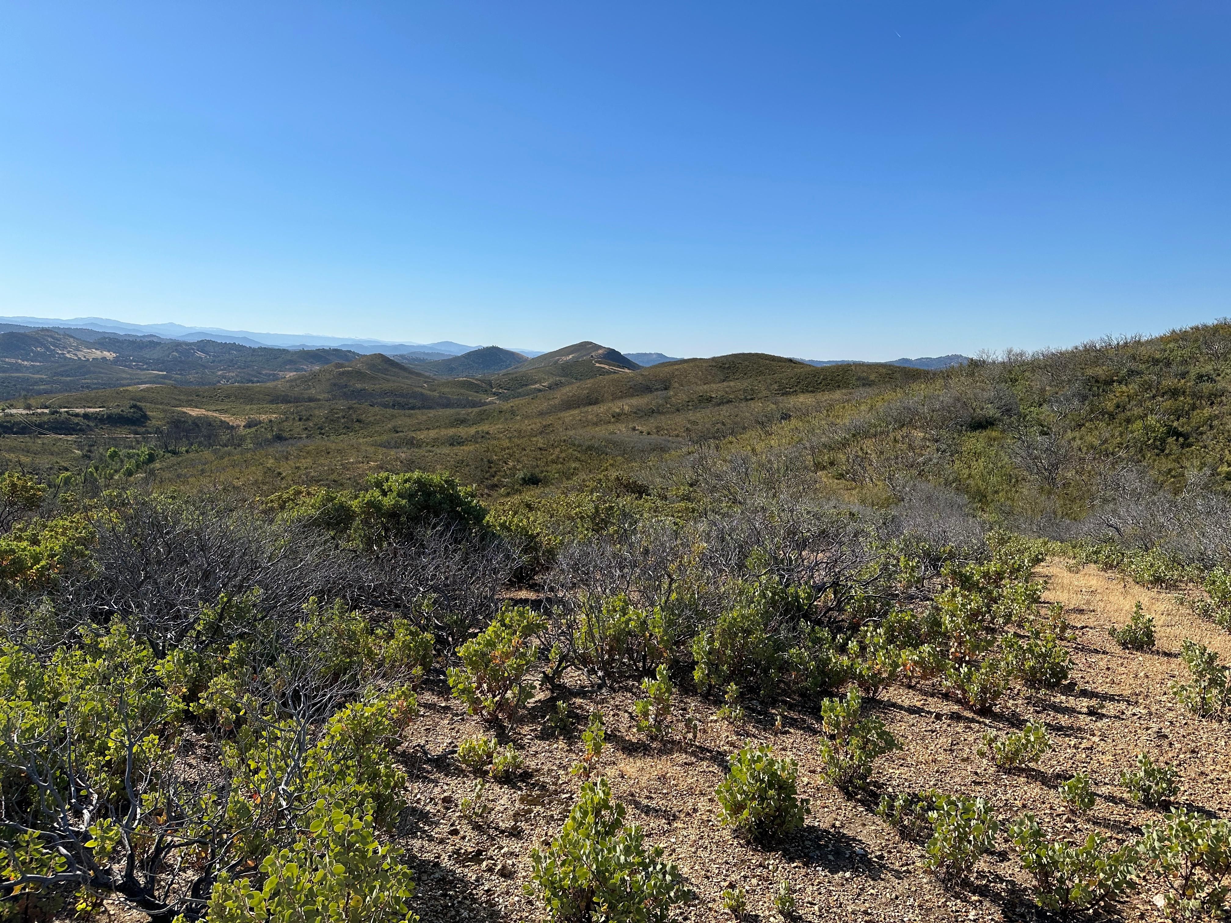 Mt Bullion Cutoff Rd, Mariposa, CA 95338 | MLS: MP23116159 | LandWatch