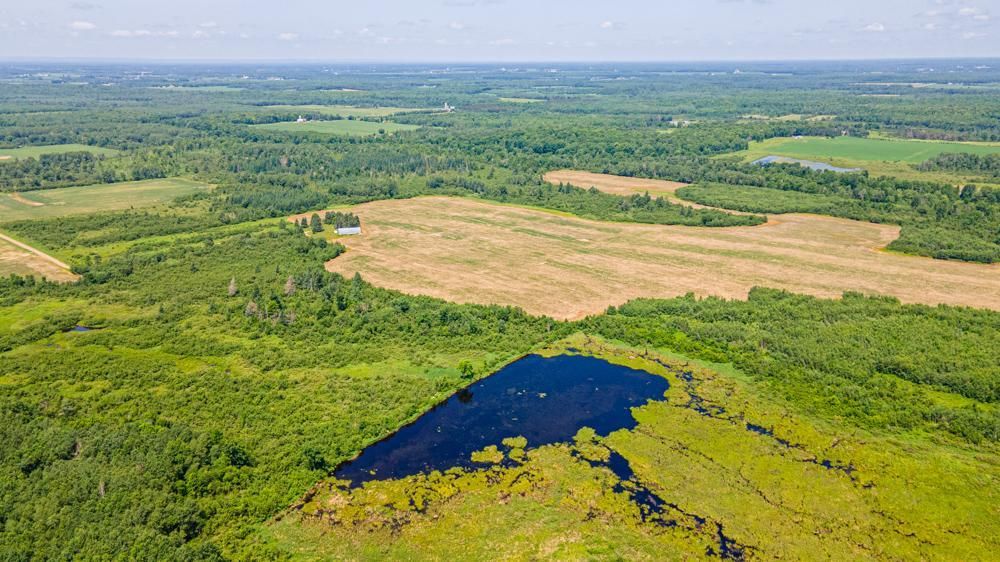 W4180 Wilderness Road, Glen Flora, WI 54180 | MLS: Rusk 843 | LandWatch