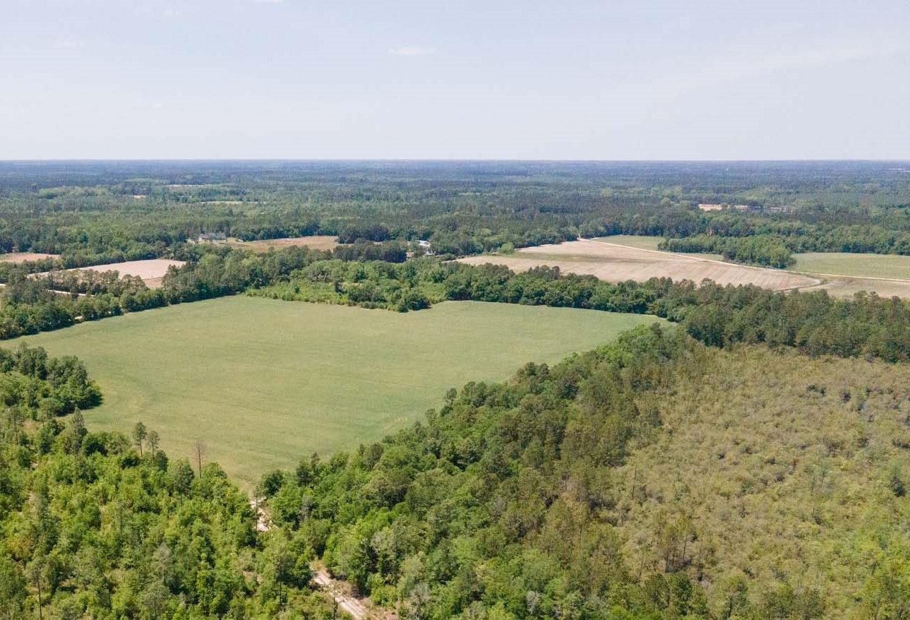 Old River Rd S, Brooklet, GA 30415 | MLS: 68 Acres Southeast Bulloch Co ...