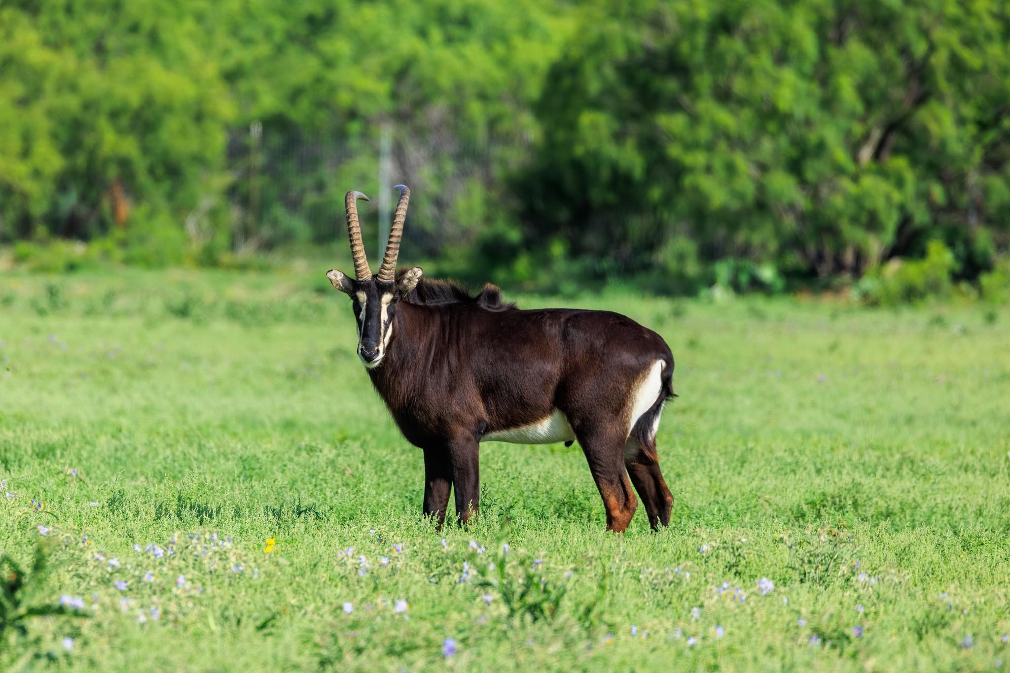 1235 Garvin Ln, Hext, TX 76859 | LandWatch