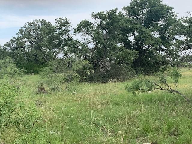 Menard, Menard County, TX Farms and Ranches, Hunting Property for sale ...