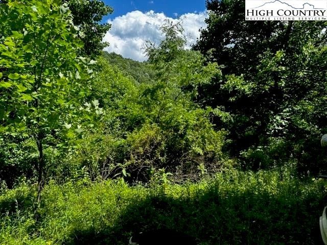 Vilas, Watauga County, NC Farms and Ranches for sale Property ID ...