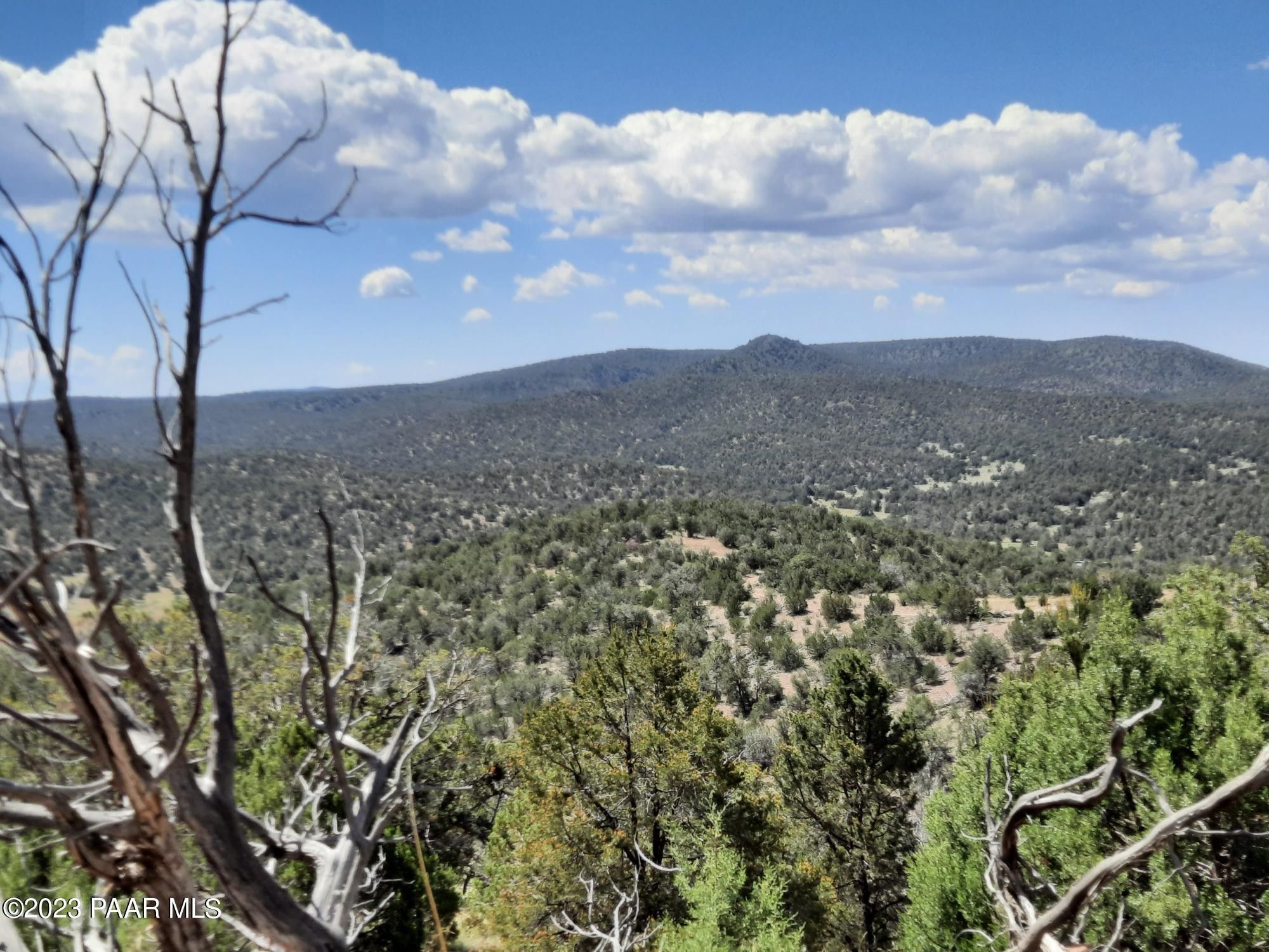 Seligman, Yavapai County, AZ Undeveloped Land for sale Property ID ...