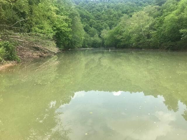 Hyden, Leslie County, KY Farms and Ranches for sale Property ID ...