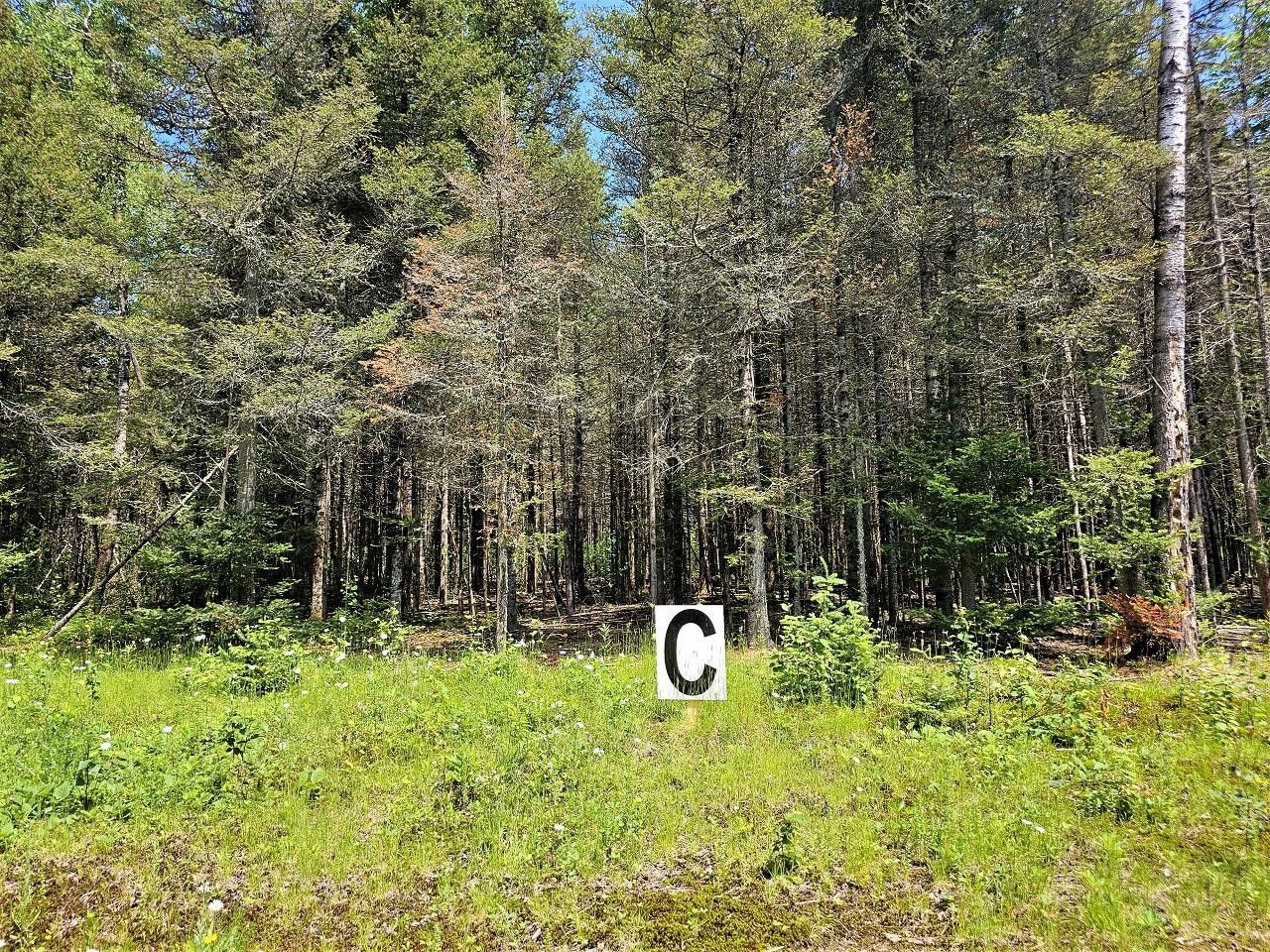 Mercer, Iron County, WI Undeveloped Land for sale Property ID ...