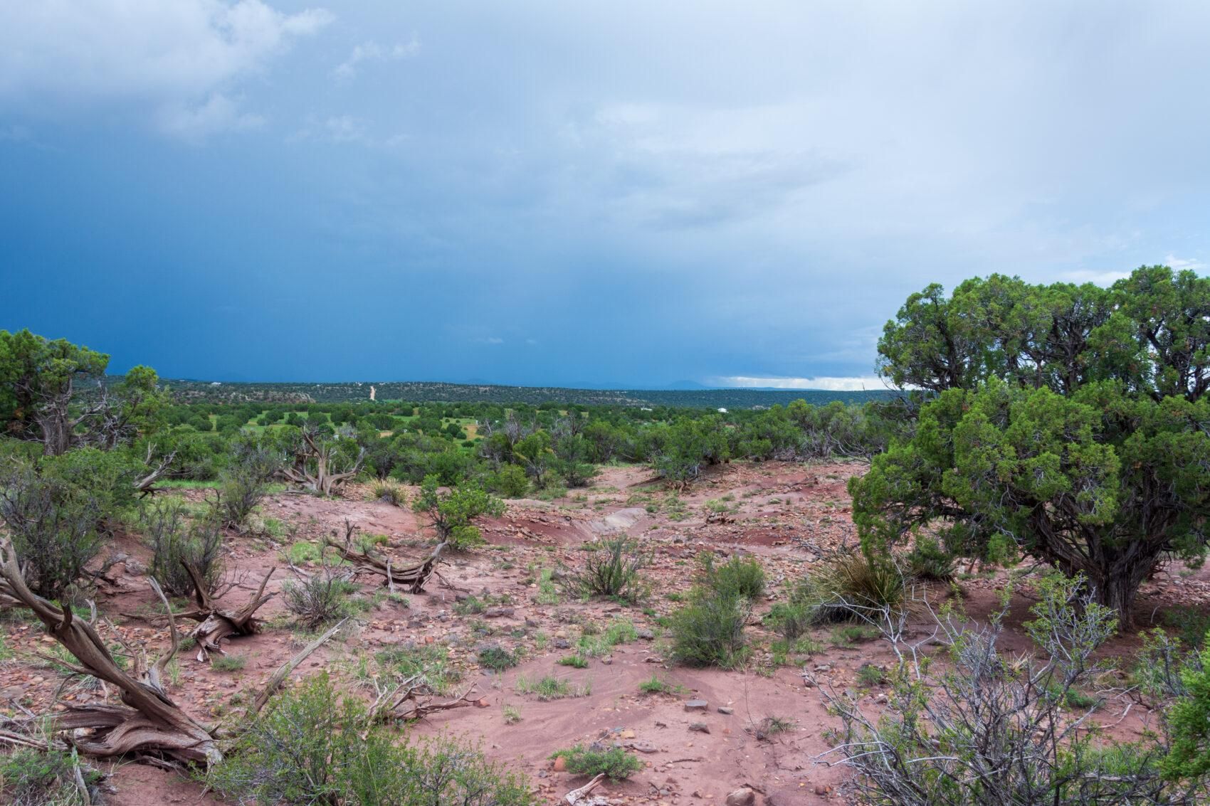 #A5-1226, Concho, AZ 85924 | MLS: 201-05-087 | LandWatch