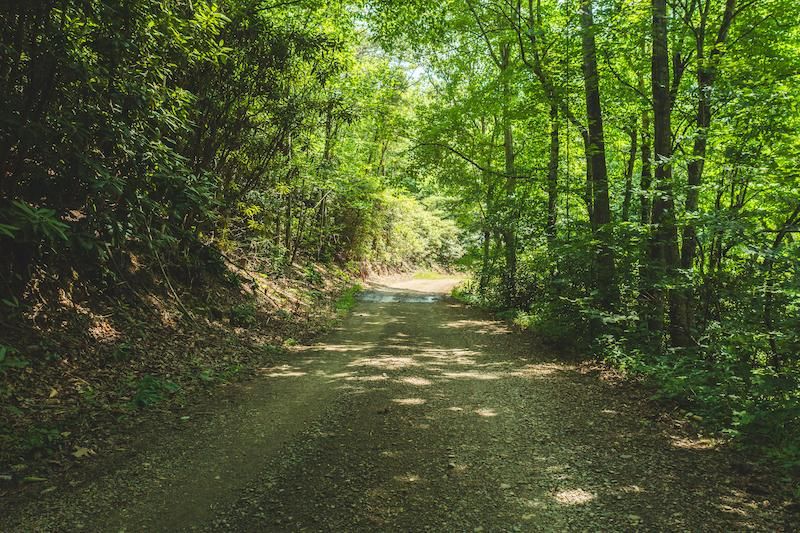 Woolwine Hwy, Woolwine, VA 24185 | LandWatch