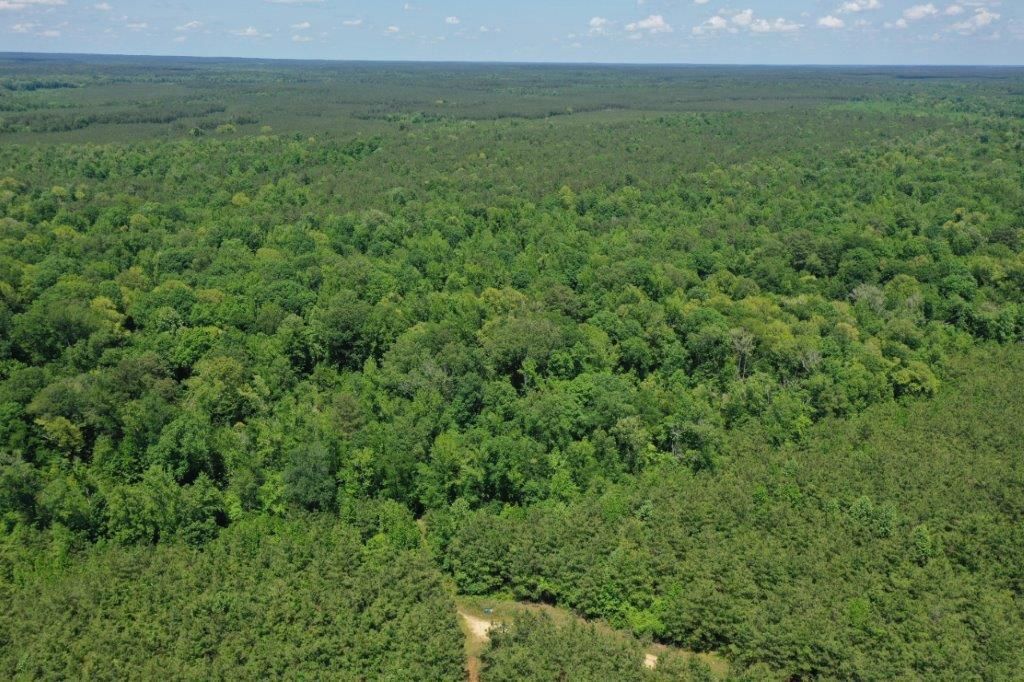 320 acres in Princeton, AR, 71725 | MLS: 5035 - Martin | LandWatch