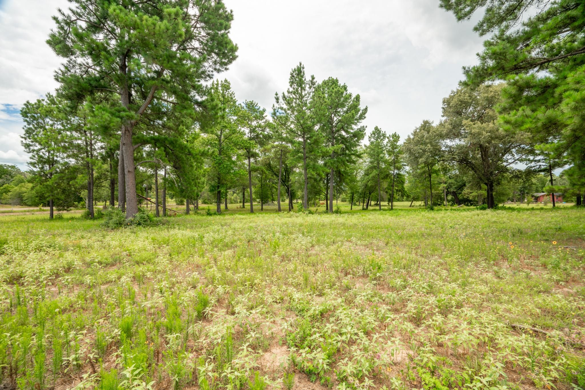5.61 acres in Midway, TX, 75852 | LandWatch