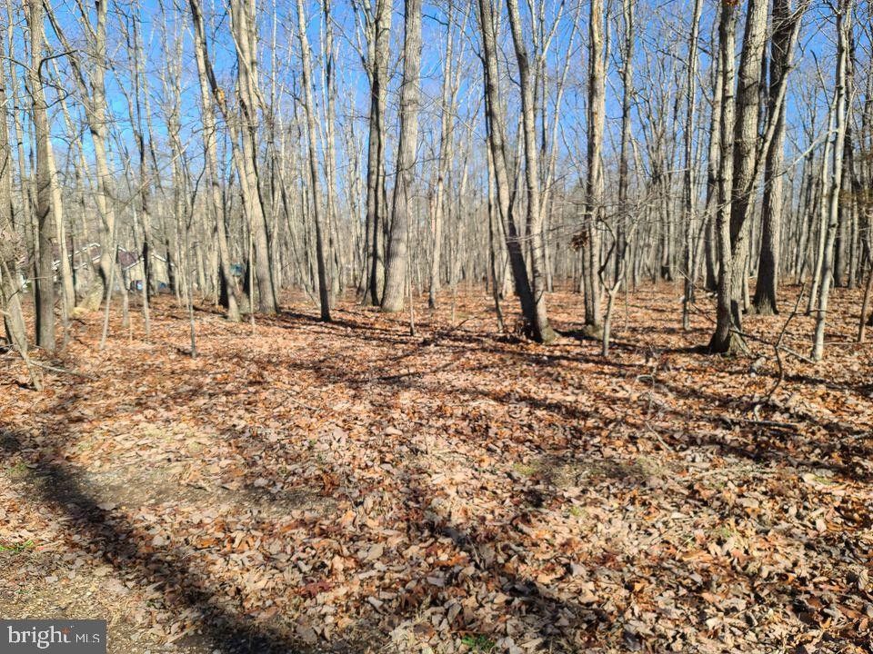 Rhoadesville, Orange County, VA Farms and Ranches for sale Property ID ...