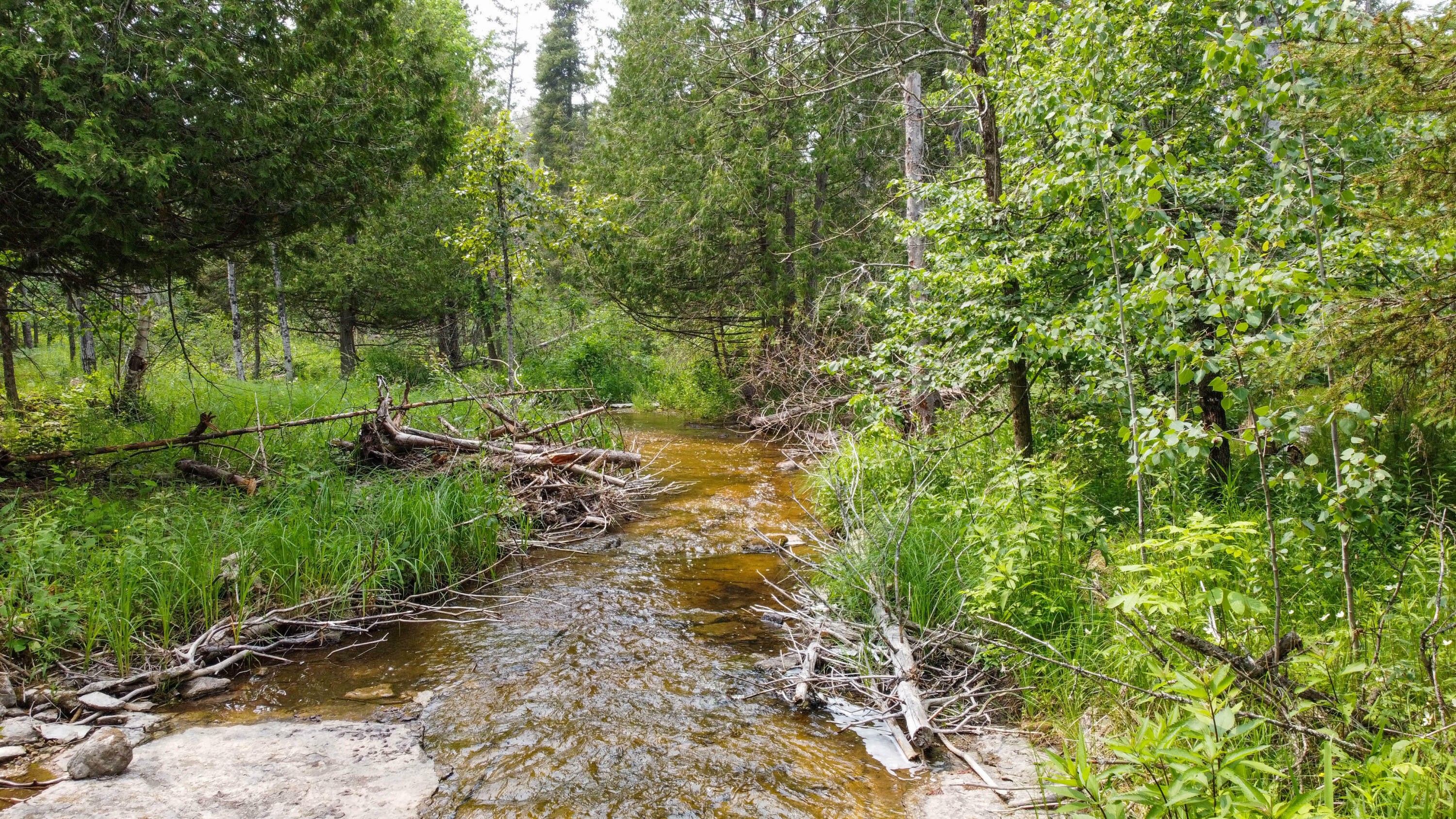 Cedarville, Mackinac County, MI Farms and Ranches for sale Property ID ...